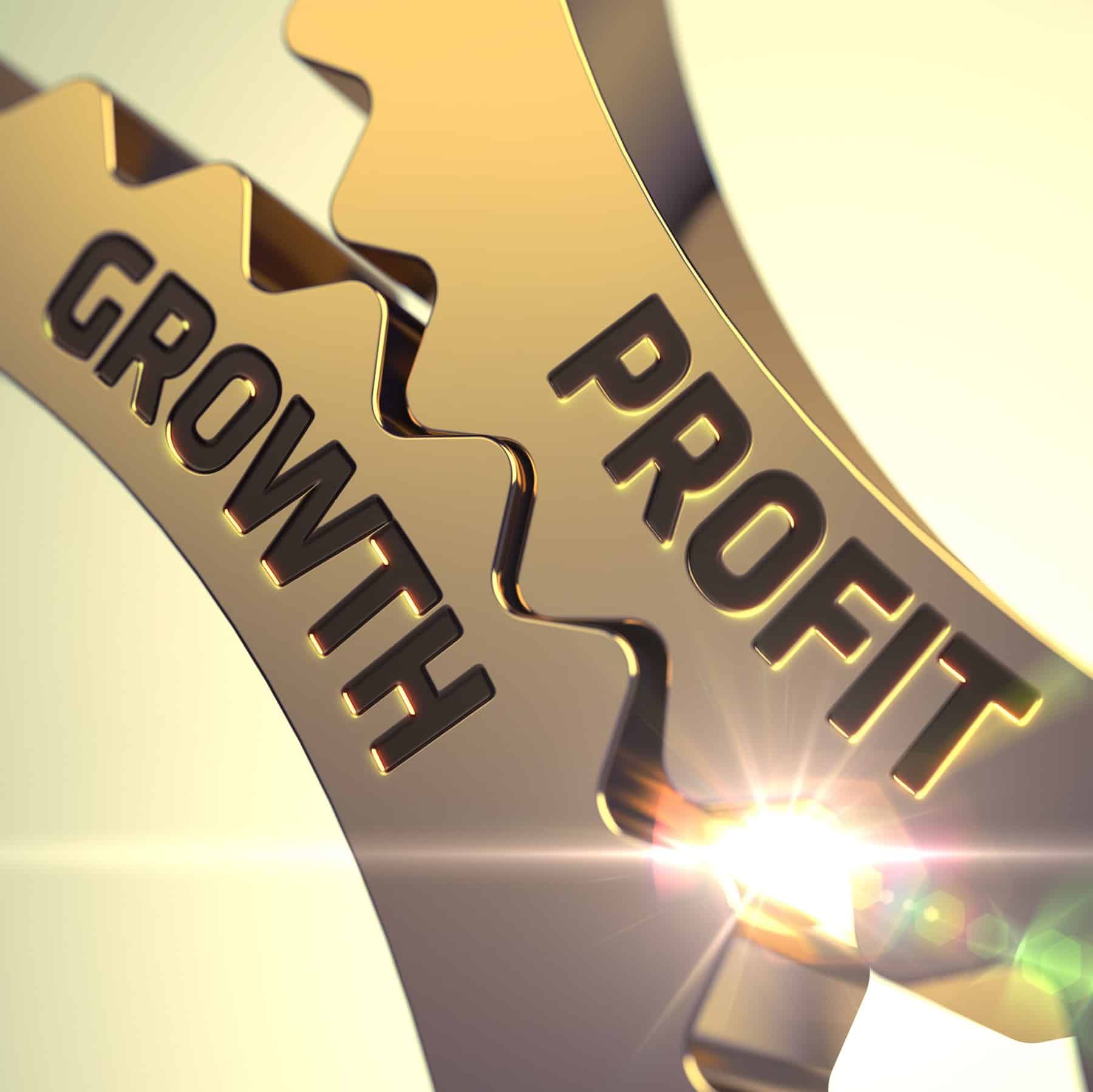 profit growth - Business Success Educators
